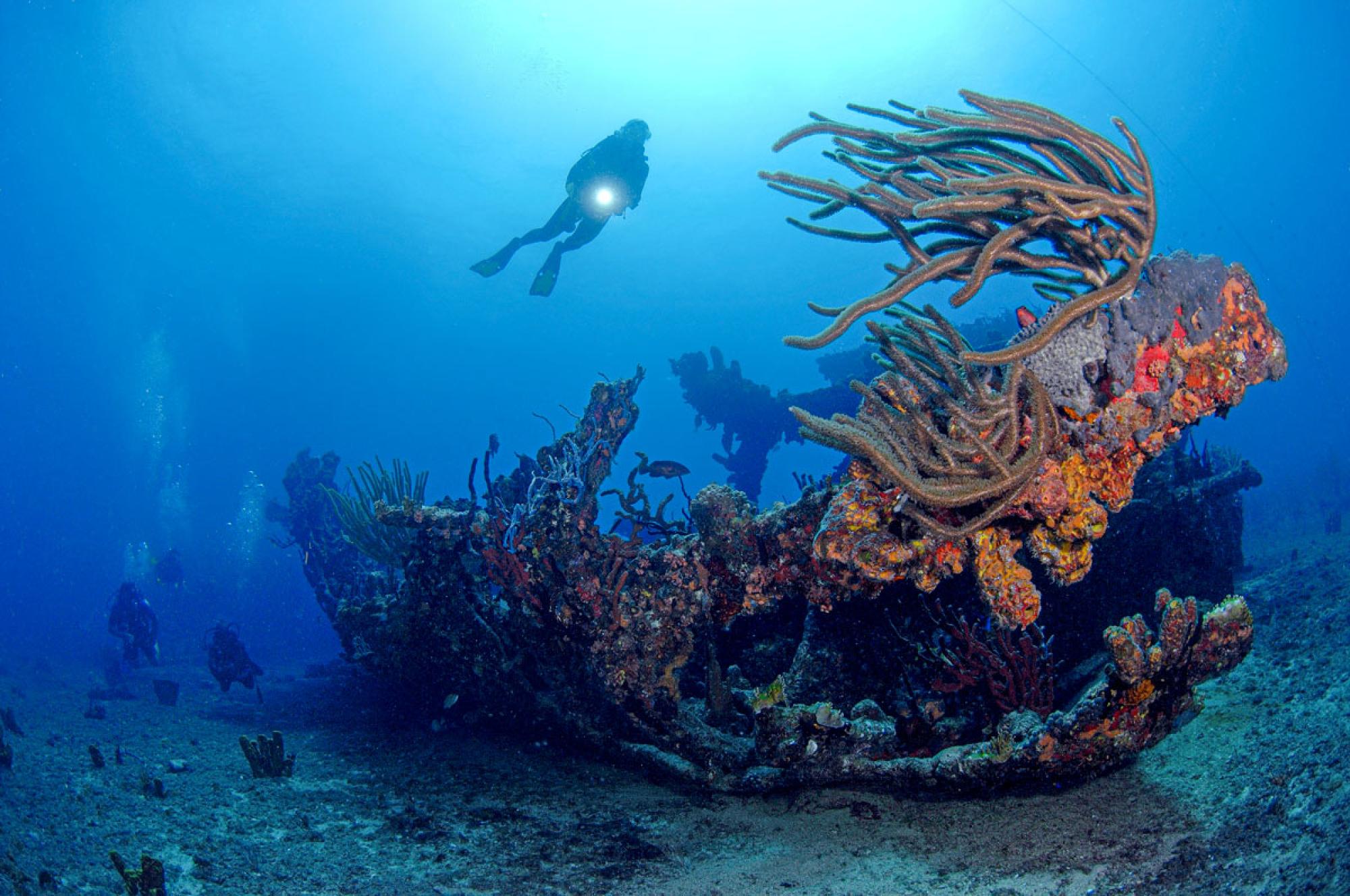 Dive Into BVI Wreck Week 2026: The Ultimate Scuba Experience by Cuan ...